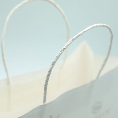 100g kraft paper bag - Leabonpack