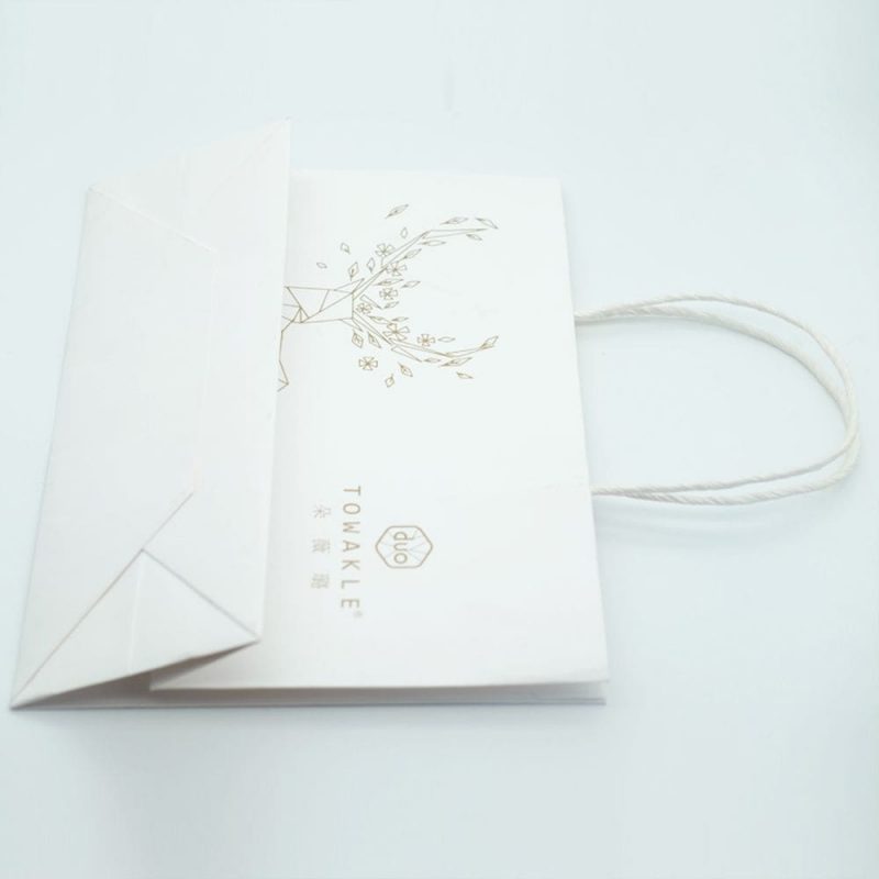 100g kraft paper bag - Leabonpack